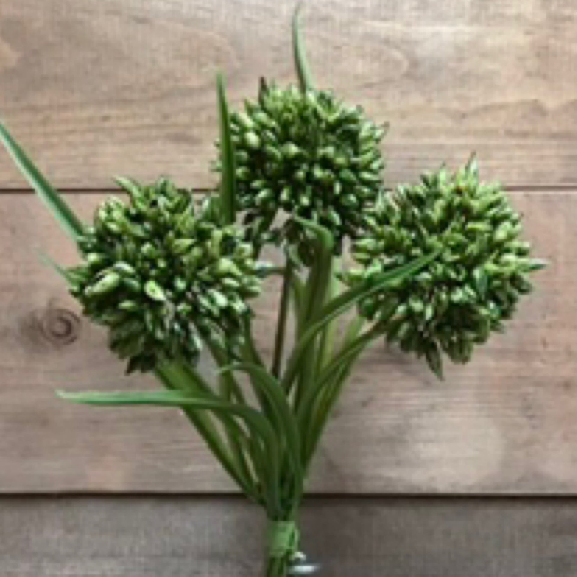 Allium - Green Grass Bundle - 11” tall - 00989 GR | Barn & Bunkie